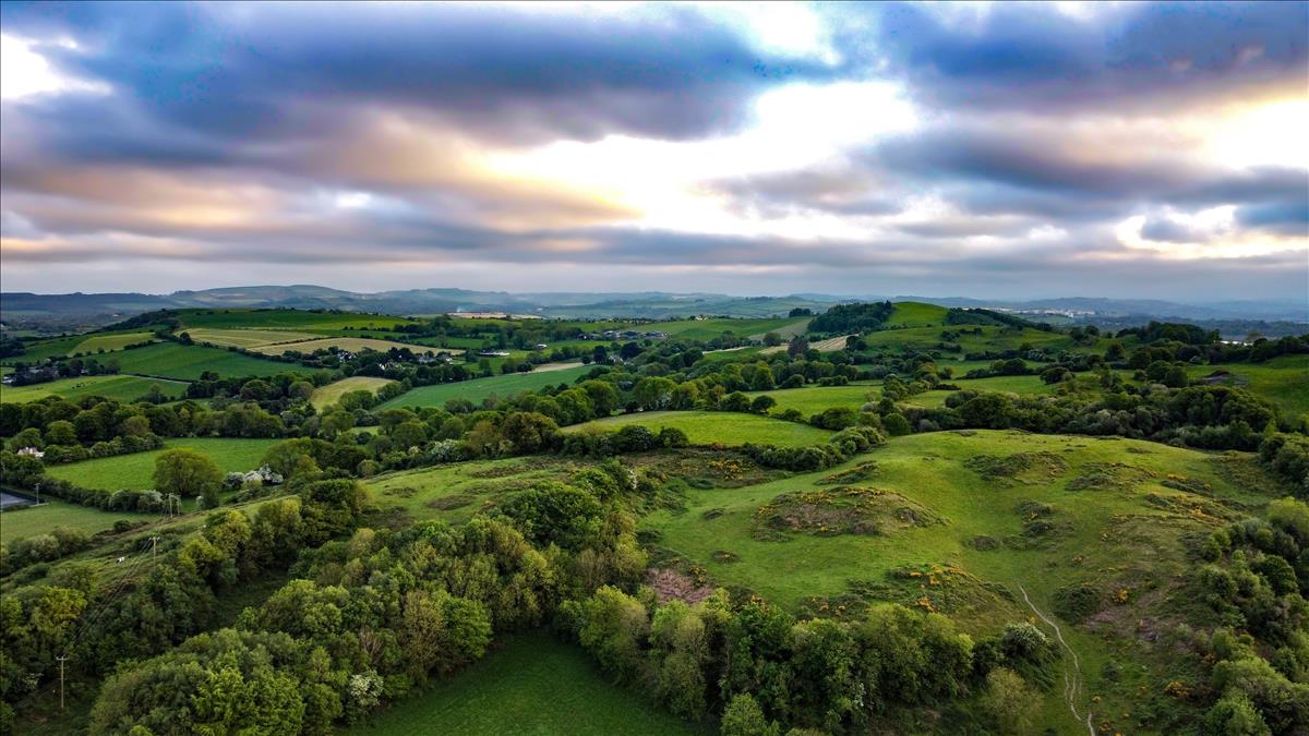 Agricultural & Commercial Tenancies | David James & Partners